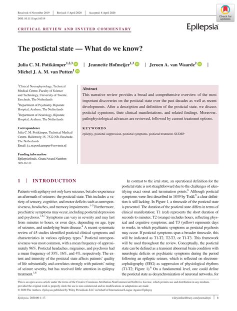 Pdf The Postictal State — What Do We Know