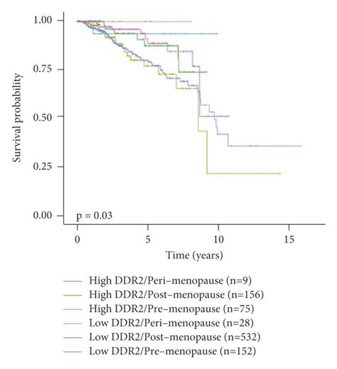 Implication Of Ddr2 Expression On Invasive Bc Progression Patients