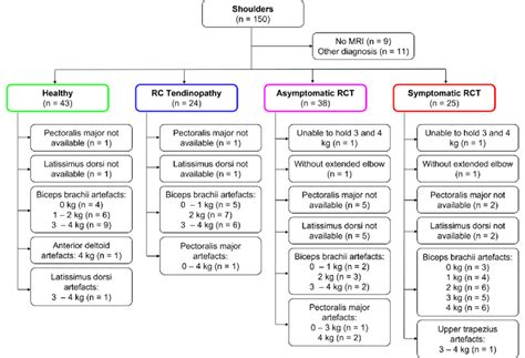 Flowchart Illustrating The Classification Of All Included Shoulders Download Scientific Diagram