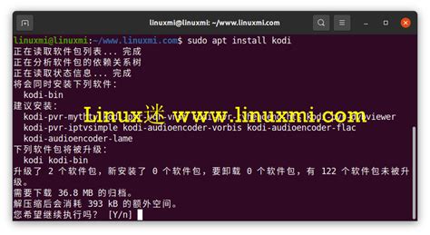 开源家庭影院 Kodi 19 1 发布，如何在ubuntu 21 04中安装 Linux迷