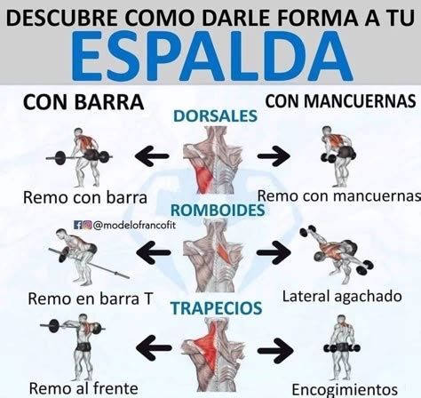 Rutina Espalda Con Mancuernas