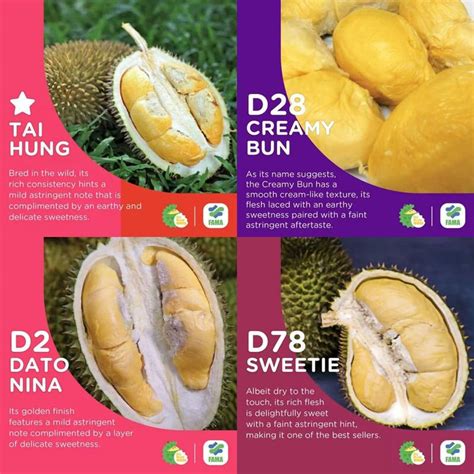 Durian Malaysiafruit Koh Yong Peng