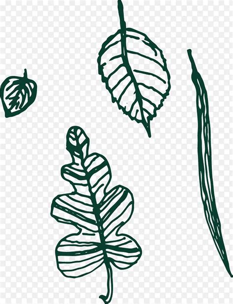 Png Png