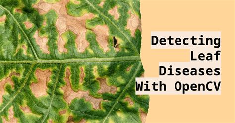 Leaf Disease Detection Using Image Processing Opencv Python Fyp Solutions