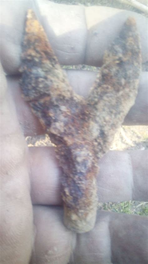 Jelito Lovecpokladu Cz