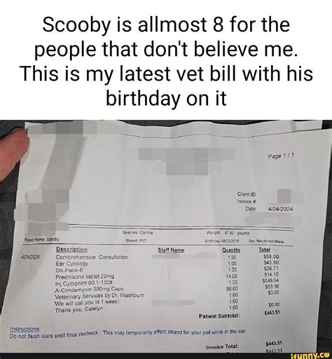 Invoice Memes Best Collection Of Funny Invoice Pictures On Ifunny