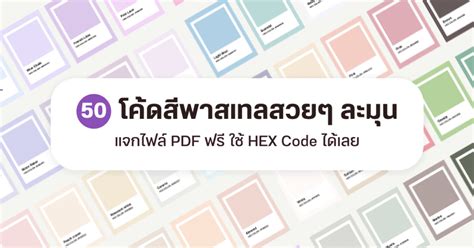 แจก 300 โค้ดสี Html คัดพาเลตมาให้แล้วจากดีไซน์เนอร์ Designil