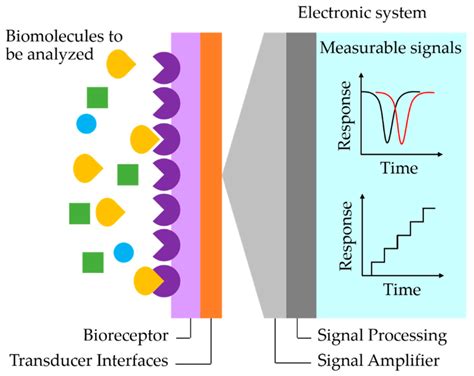 Schematic Illustration Of A Typical Biosensor System Download