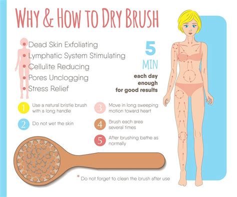 How Dry Brushing Can Legit Tranform Your Skin Artofit