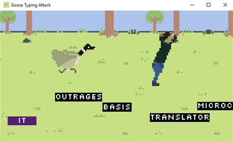 Goose Typing Attack By Ernesto