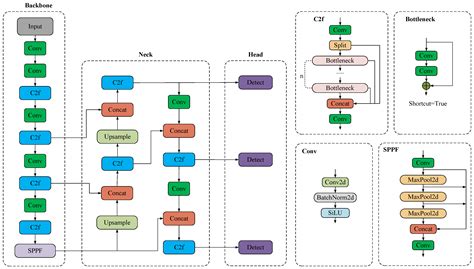 Bud Yolov8s A Potato Bud Eye Detection Algorithm Based On Improved Yolov8s