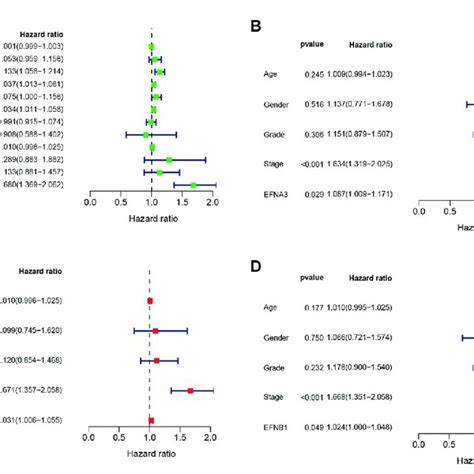 Univariate And Multivariate Cox Regression Analyses Of Efn Members And