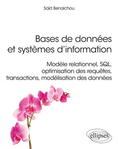 Bases De Données Et Systèmes Dinformation Modèle Relationnel Sql Optimisation Des Requêtes