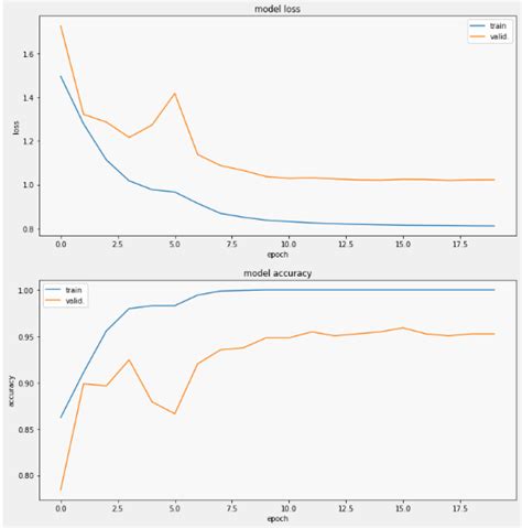 Flower Classification With Tpus Kaggle Flower Classification Tpus