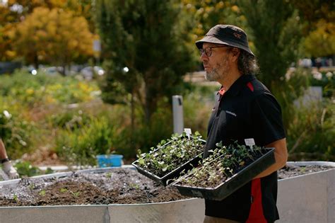 Jeff Mcclintock Green Gown Awards Australasia