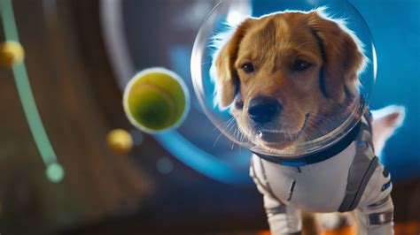 Can We Really Tell Whats Made By Sora 2 11 Tips To Help Spot Ai Generated Video Techradar