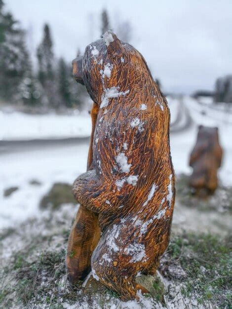 Premium Photo Close Up Of Turtle In Snow