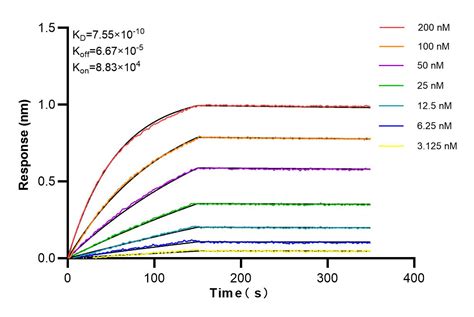 Clec7a Antibody 83739 1 Pbs Proteintech