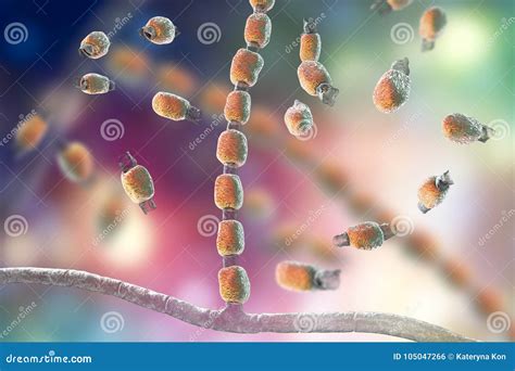 Fungi Coccidioides Immitis Royalty Free Cartoon