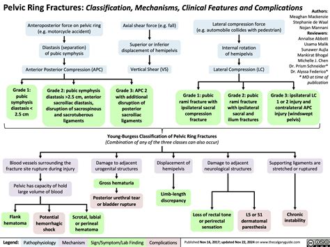 Pelvic Ring Fractures Calgary Guide