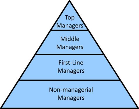 Levels Of Organization Management At Taj Wheelwright Blog