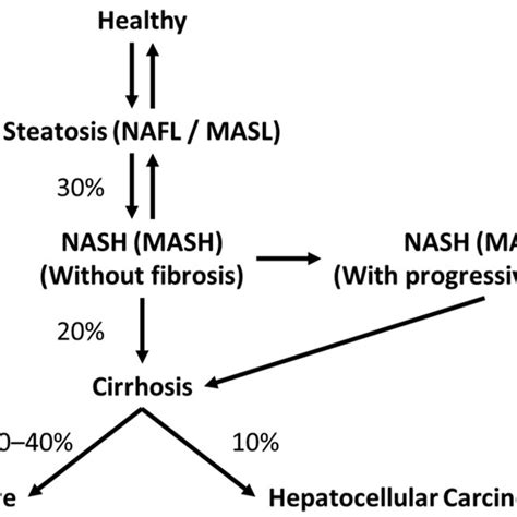 Examples Of Risk Factors Contributing To The Promotion Of Nash Onset Download Scientific