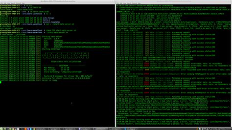 Bug Local Server Gets Into Bad State And Cannot Launch Actor · Issue