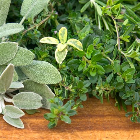 Herbal Fire Cider Serenity Hill Farmstead