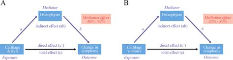 Model Of The Potential Mediating Effect Of Osteophytes On The Download Scientific Diagram