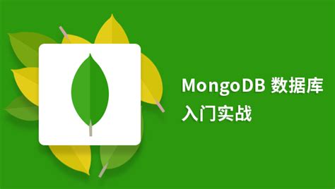 mongodb 数据库入门实战 mongodb 蓝桥云课