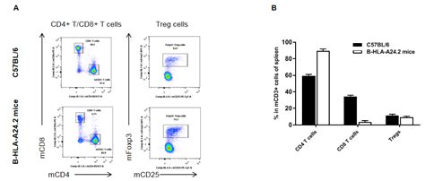 B Hla A242 Mice百奥赛图官网