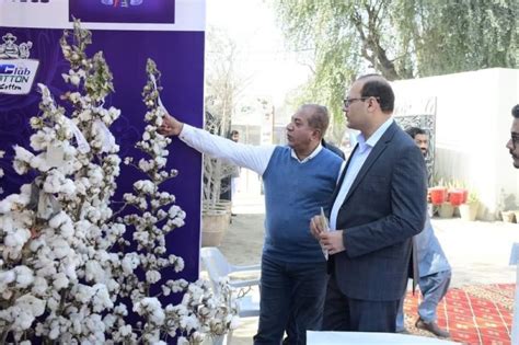 Dr Javed Hassan On Linkedin A Heartfelt Congratulations To Haffiz Muhammad Zubair For