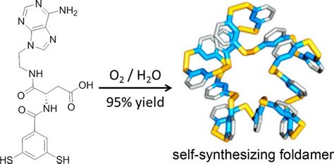 Acs Editors Choice Spontaneous Emergence Of Complex Molecules That Can Fold Like Proteins