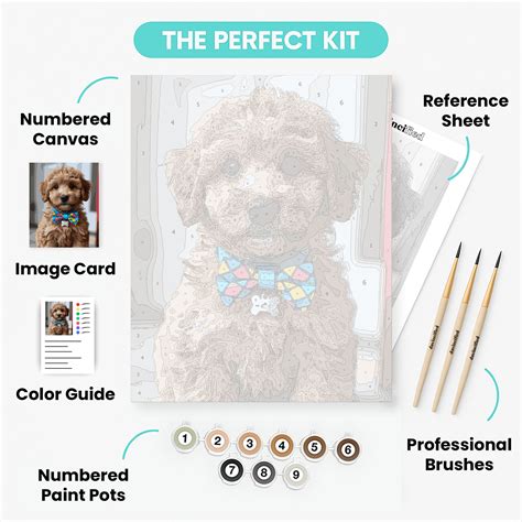 Waffles The Cockapoo Paint By Numbers Kit Adorable Curly Pup Paint
