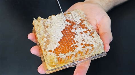 Honeycomb Taste Test Youtube