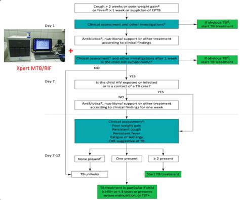 Msf Pediatric Tb Diagnostic Algorithm Médecins Sans Frontières And Download Scientific Diagram