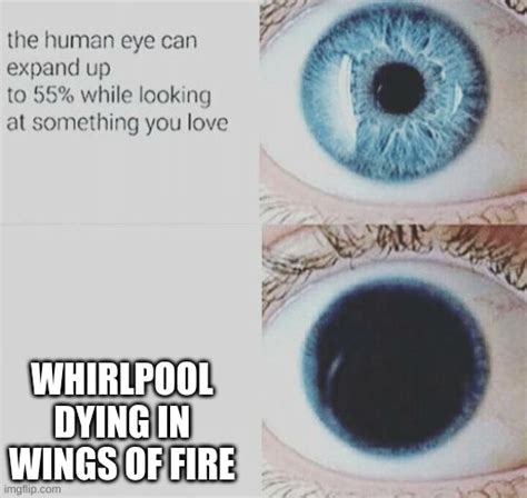 True Imgflip