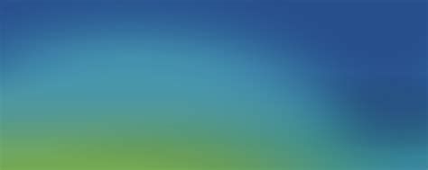 Advancing Electronic Funds Check Authorization With Fleet Software Solutions