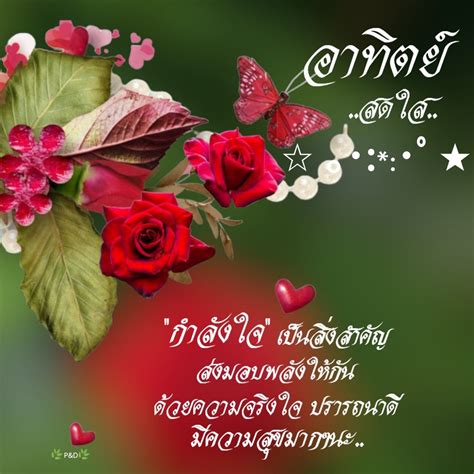 วันอาทิตย์ 🌿 สวัสดีตอนเช้า ราตรีสวัสดิ์  วันอาทิตย์