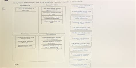 Solved Not Sure Classify Each Of The Following As Characteristic Of