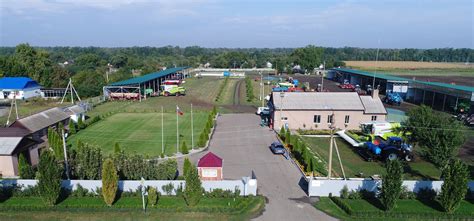 Андрей Олейник Делимся опытом подработки хранения и реализации гибридов семян В конце ноября