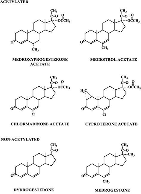 Role Of Progestins In Reproduction Intechopen