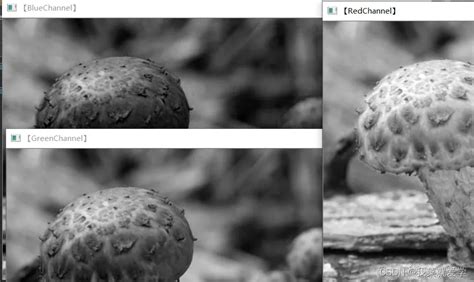 【opencv】—分离颜色通道、多通道图像混合 阿里云开发者社区