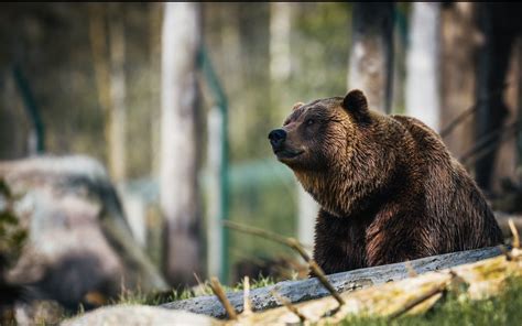 Hibernate Acceleration With Snapshots Dzone Performance Rjava