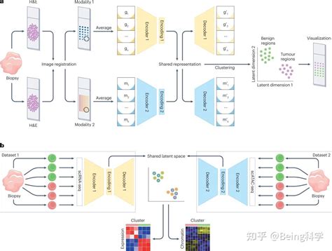 超全综述 单细胞和空间多组学的方法和应用！ 知乎