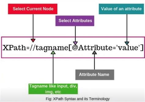 xpath automationtesting qa tester mah e falak