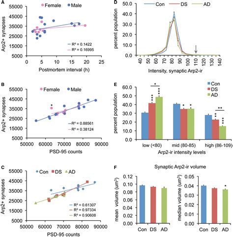 Abnormalities In Synaptic Arp2 Levels Are Greater In Ad Than Ds