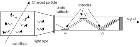 5 Schematic Diagram Of A Scintillation Counter Download Scientific