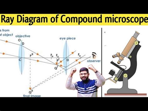 Compound Microscope Ray Diagram