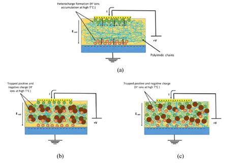 Schematic Representation Of Ionic Species Behavior At High Temperature Download Scientific